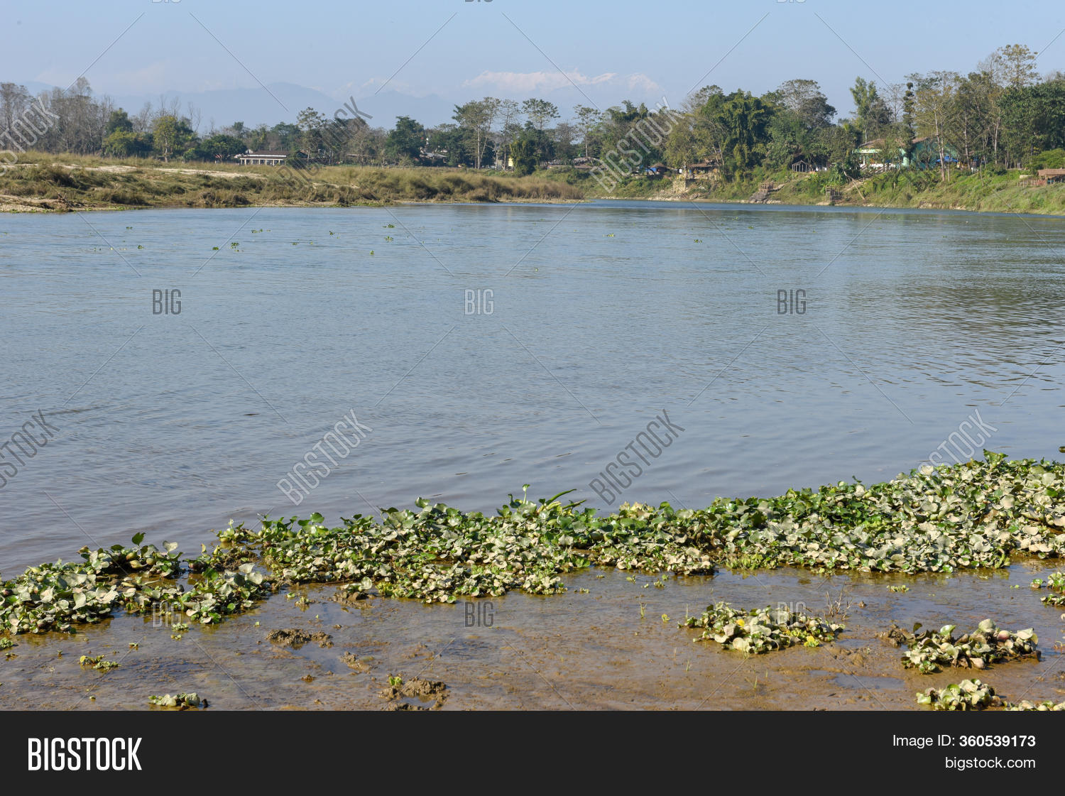 Rapti River Chitwan Image & Photo (Free Trial) | Bigstock
