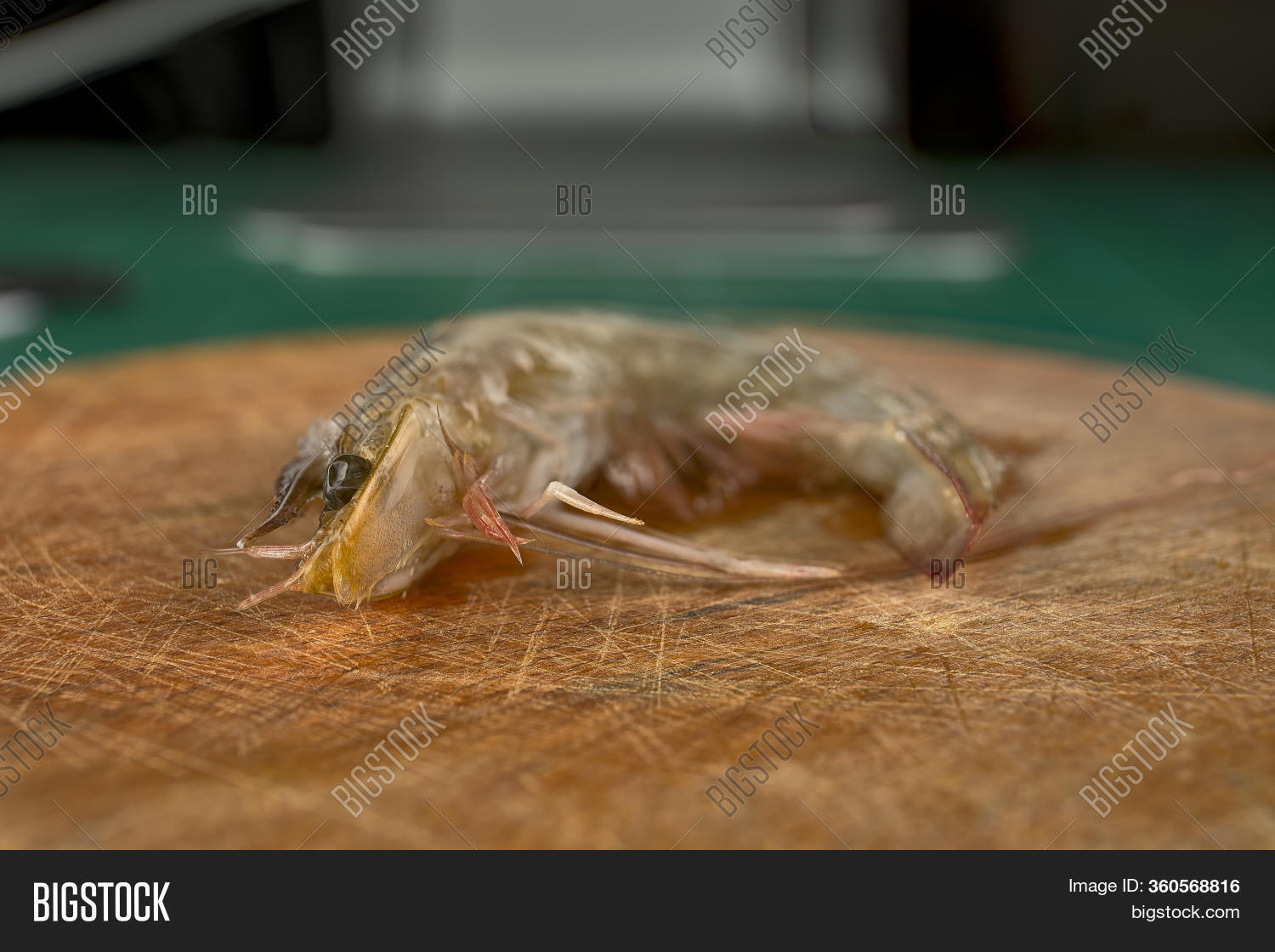 Raw, Crustacean Shrimp Image & Photo (Free Trial) | Bigstock