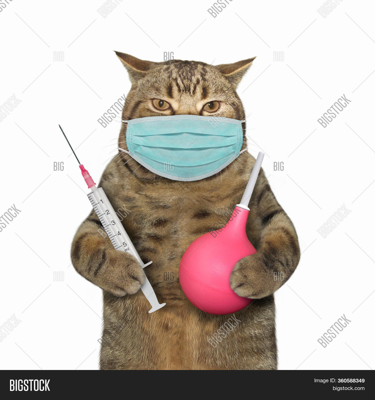 Beige Cat Doctor Image & Photo (Free Trial) | Bigstock