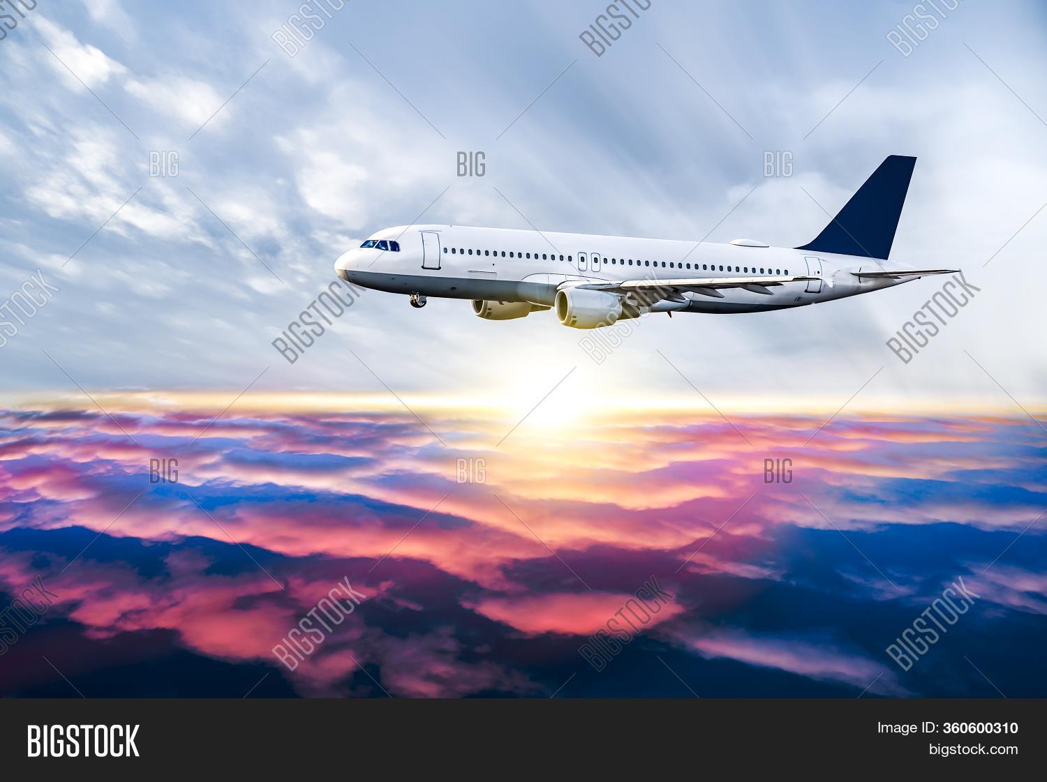 Forwarding Agent Image & Photo (Free Trial) | Bigstock
