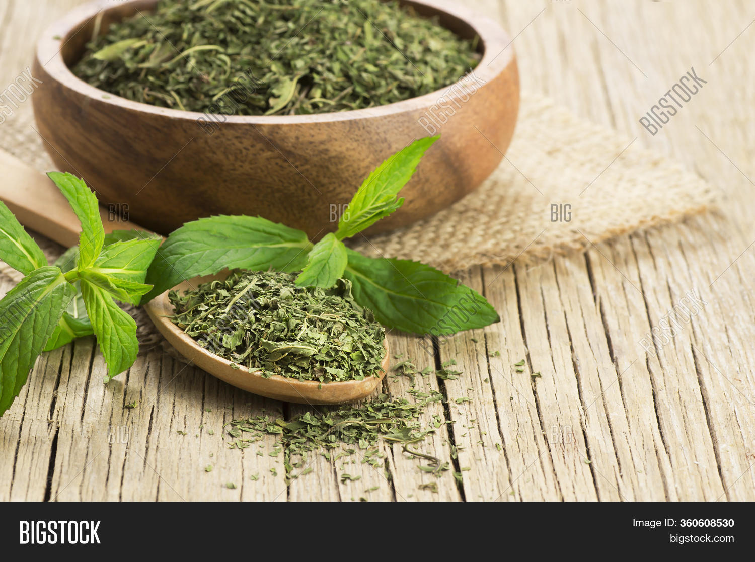 Fresh Green Peppermint Image & Photo (Free Trial) | Bigstock