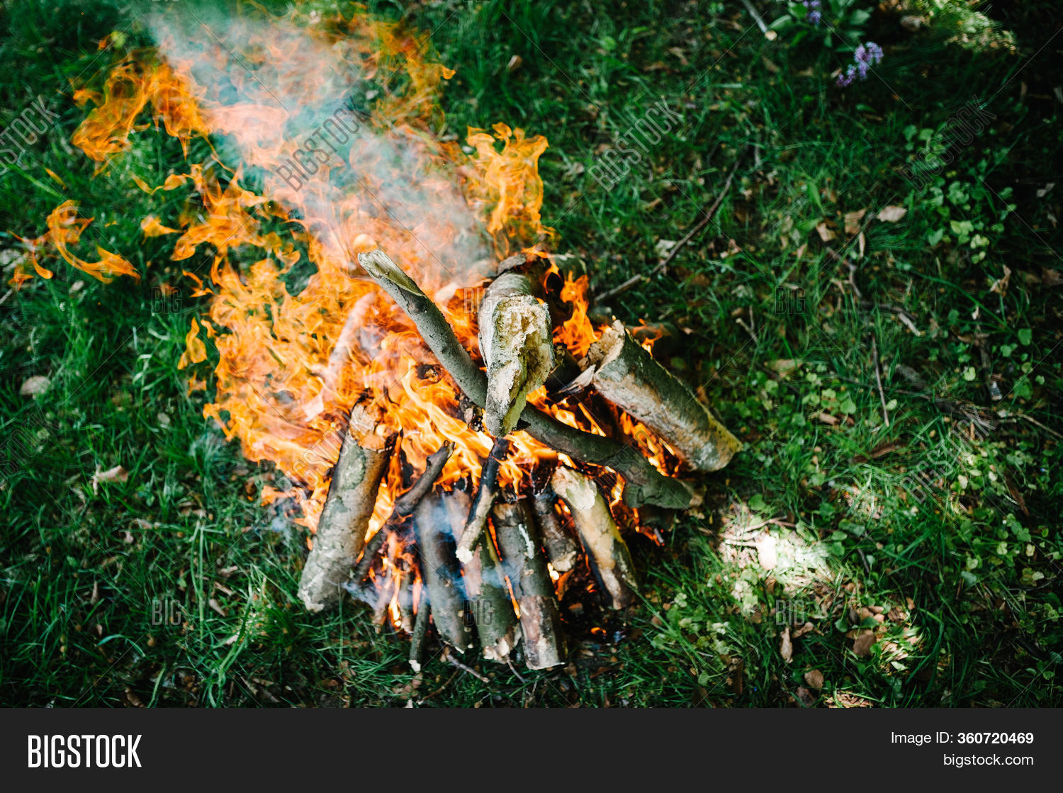 Campfire On Nature. Image & Photo (Free Trial) | Bigstock