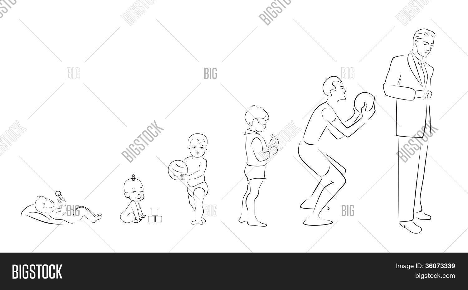 Stages Maturation Man Vector & Photo (Free Trial) | Bigstock