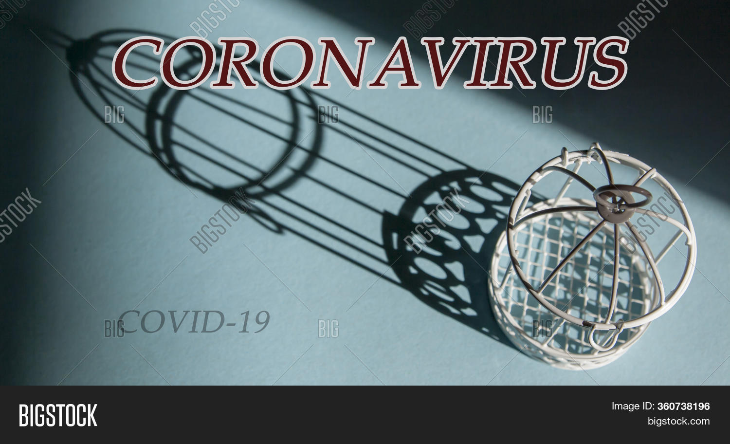 Bird Cage Quarantine Image & Photo (Free Trial) | Bigstock