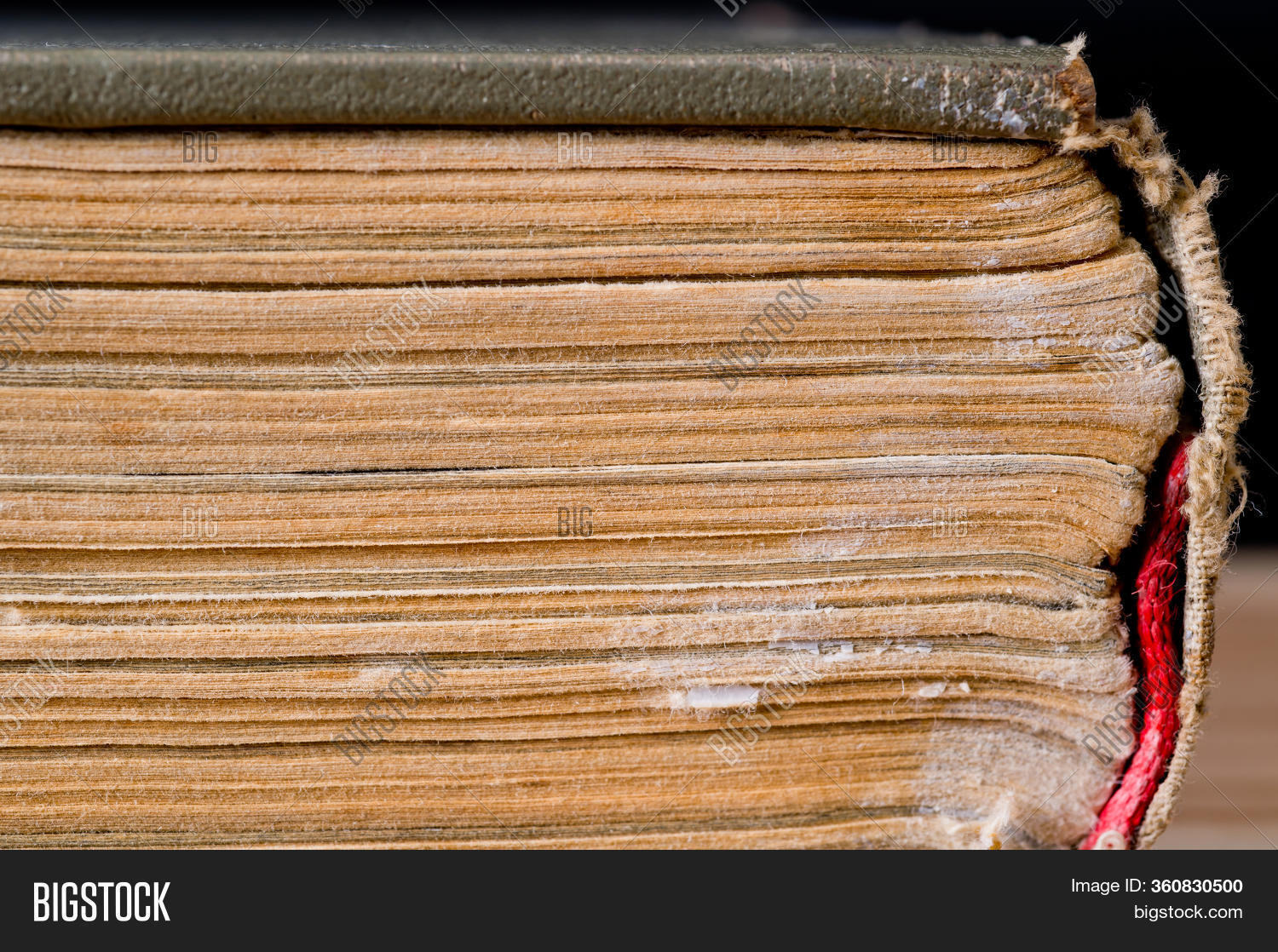 Old Book Yellowed Image & Photo (Free Trial) | Bigstock