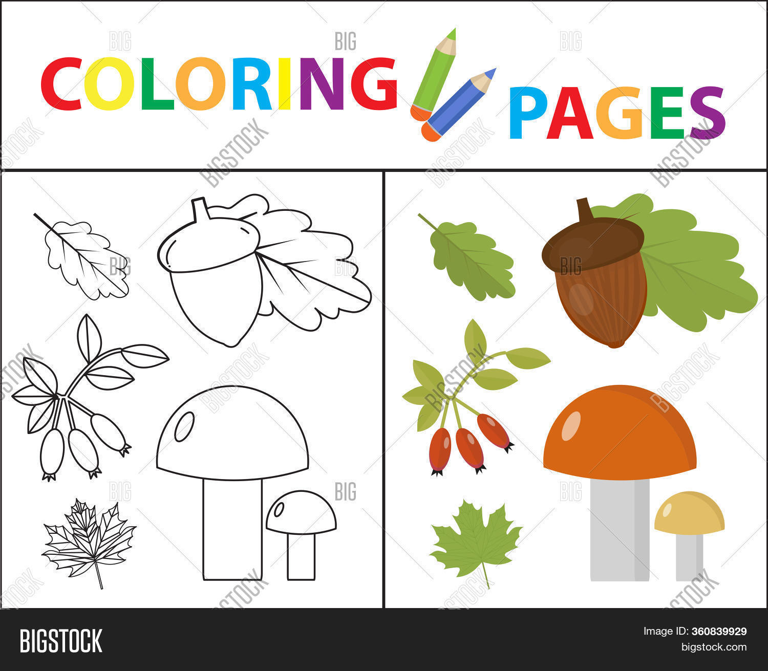 Coloring Book Page Image & Photo (Free Trial) | Bigstock