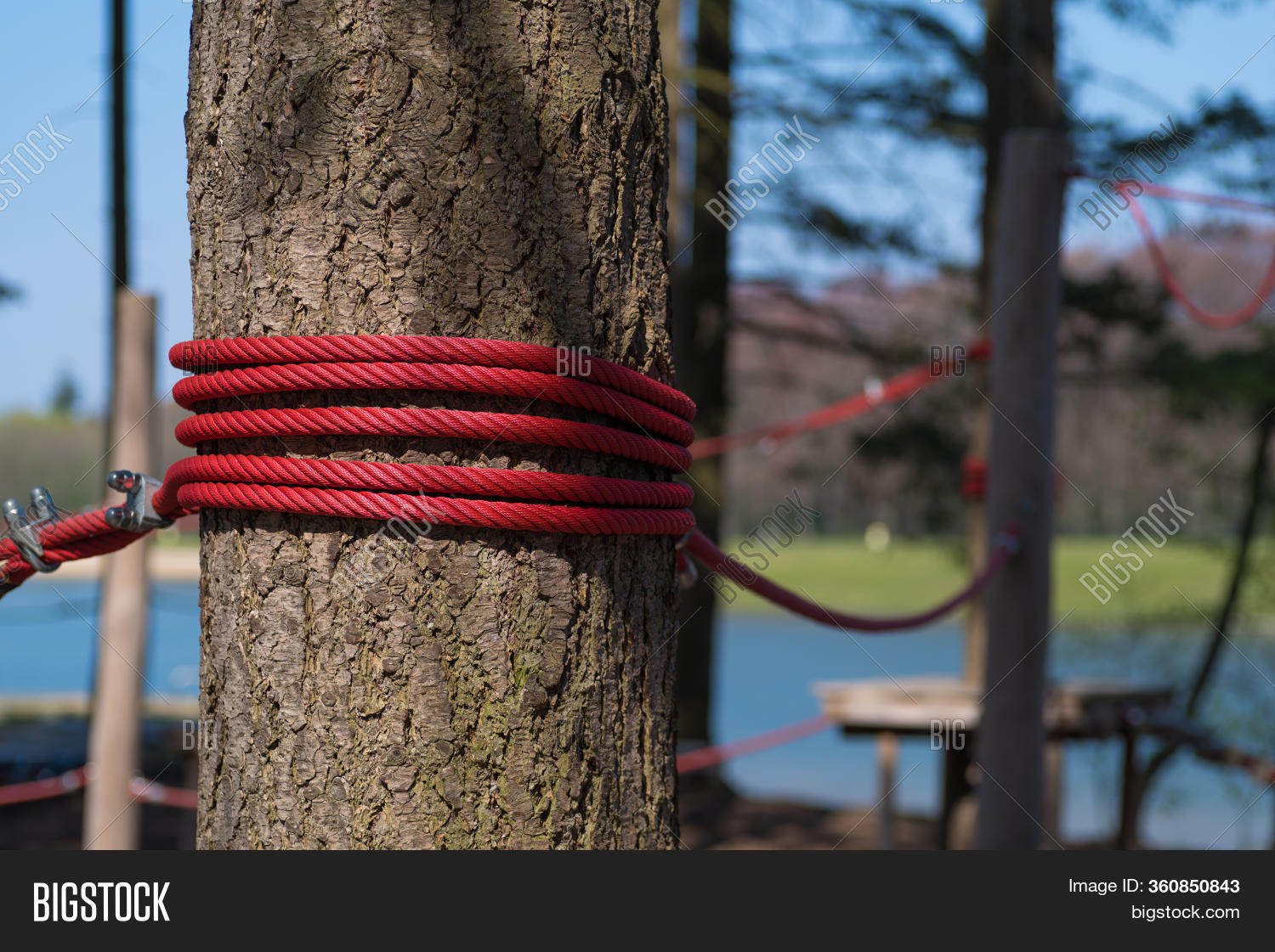 Red Rope Around Tree Image & Photo (Free Trial) | Bigstock