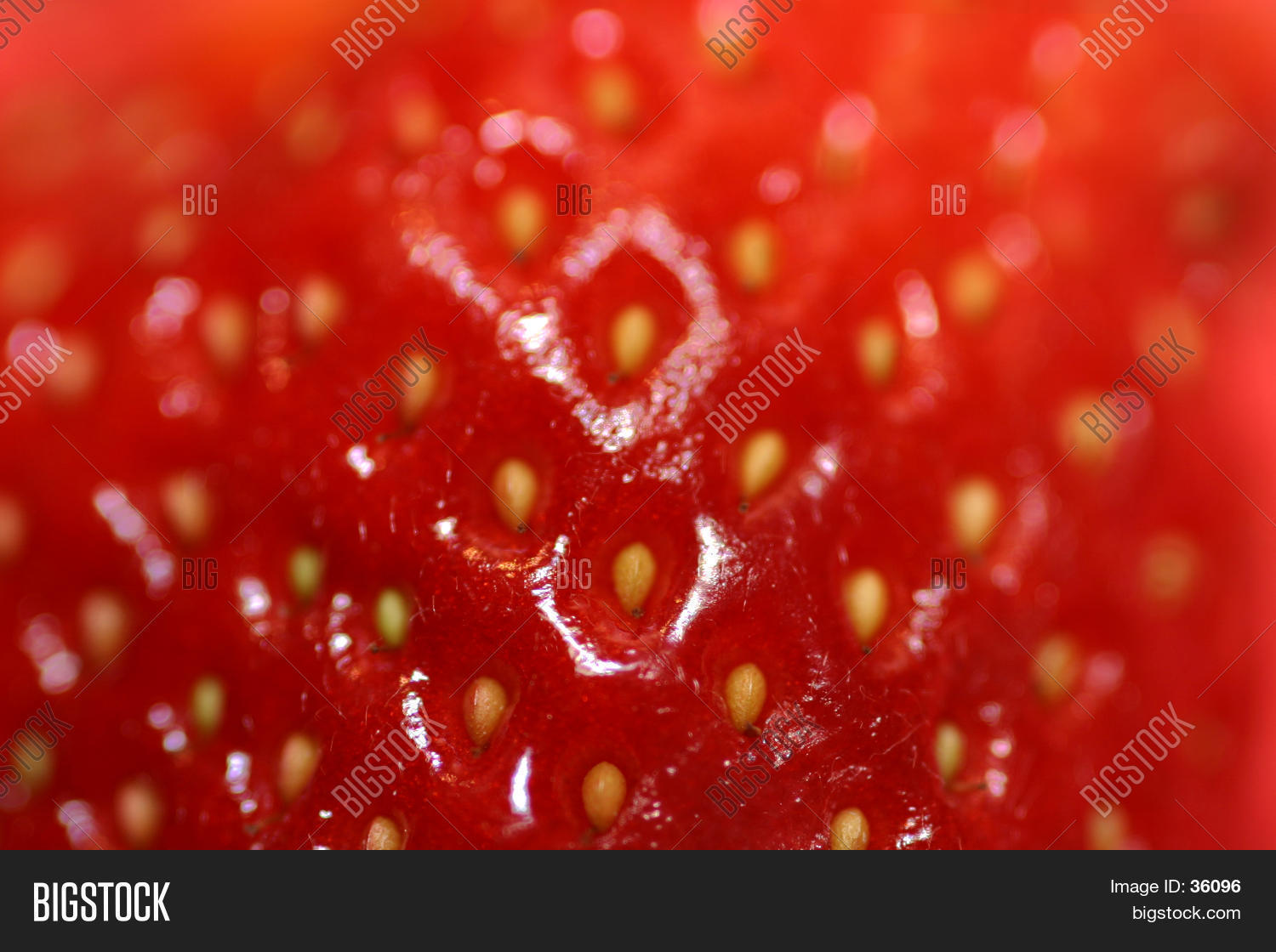 Straberry Macro Image & Photo (Free Trial) | Bigstock