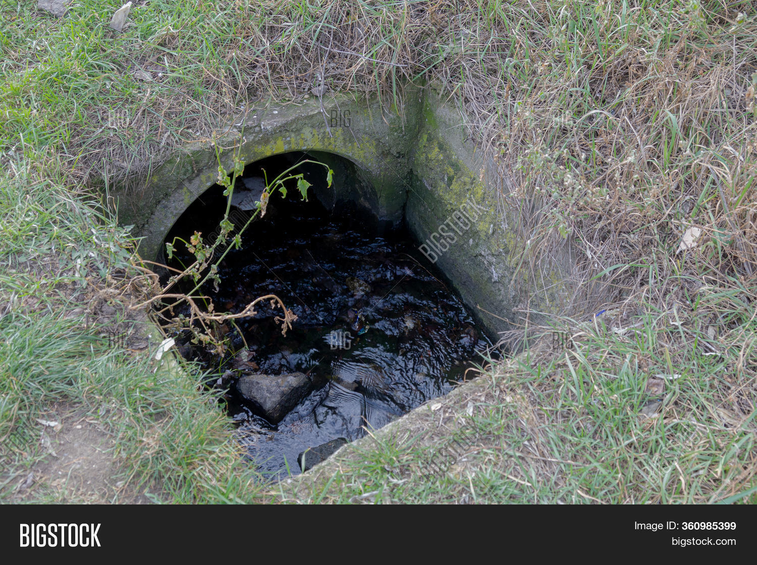 Dirty Smelly Sewage Image & Photo (Free Trial) | Bigstock
