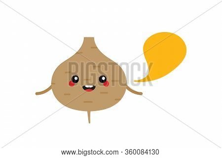 Jicama Images, Illustrations & Vectors (Free) - Bigstock