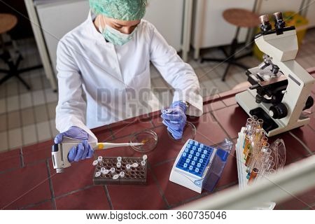 Microbiologist Lab Image & Photo (Free Trial) | Bigstock