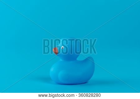 Blue Rubber Duck On Image & Photo (Free Trial) | Bigstock