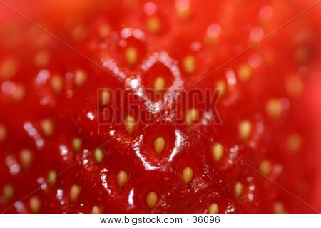 Straberry Macro Image & Photo (Free Trial) | Bigstock
