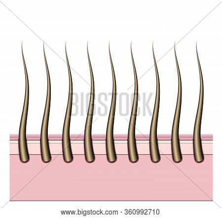 Vector Illustration Vector & Photo (Free Trial) | Bigstock