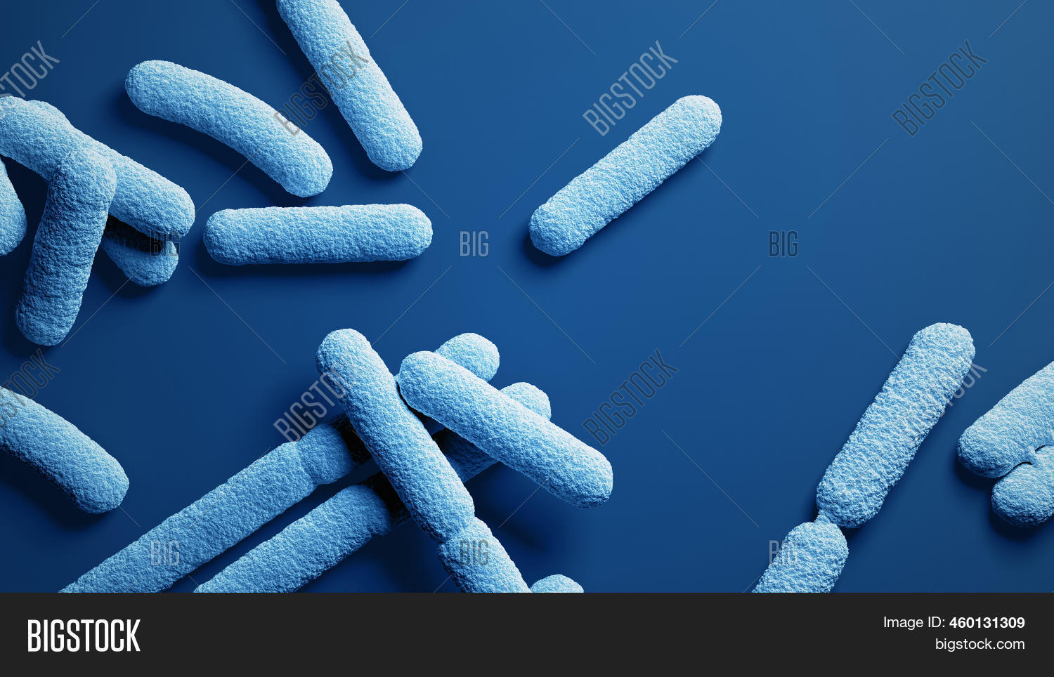 Bacteria. Bacterium. Image & Photo (Free Trial) | Bigstock