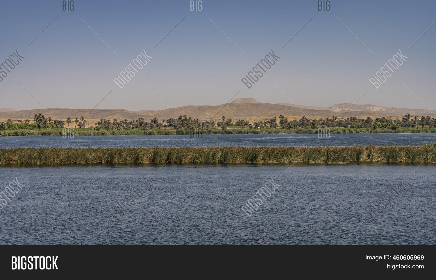 Riverbed There Islet Image & Photo (Free Trial) | Bigstock