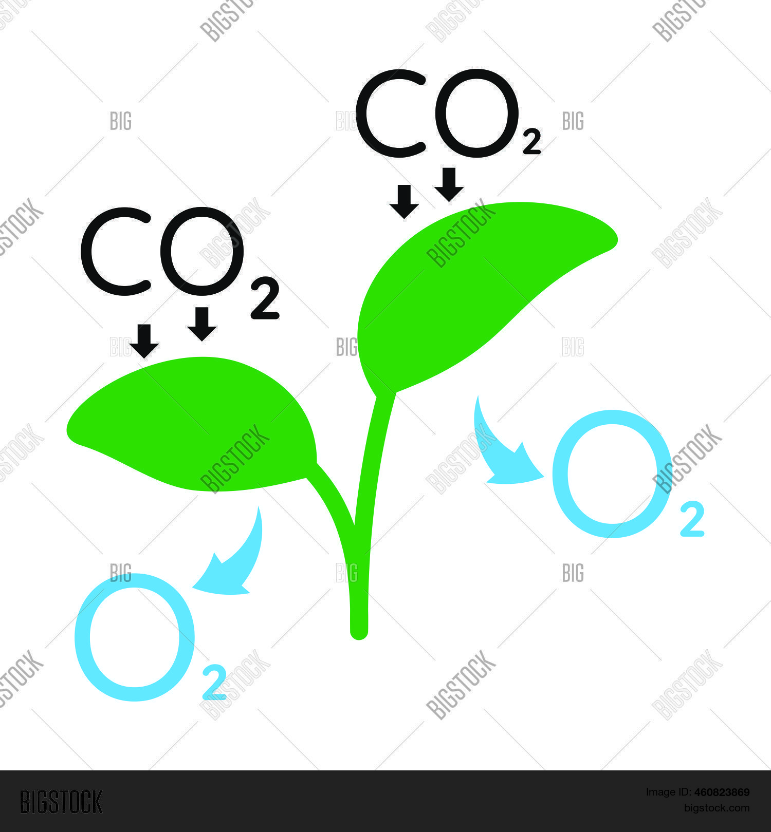 Co2 Reduction Icon. Vector & Photo (Free Trial) | Bigstock