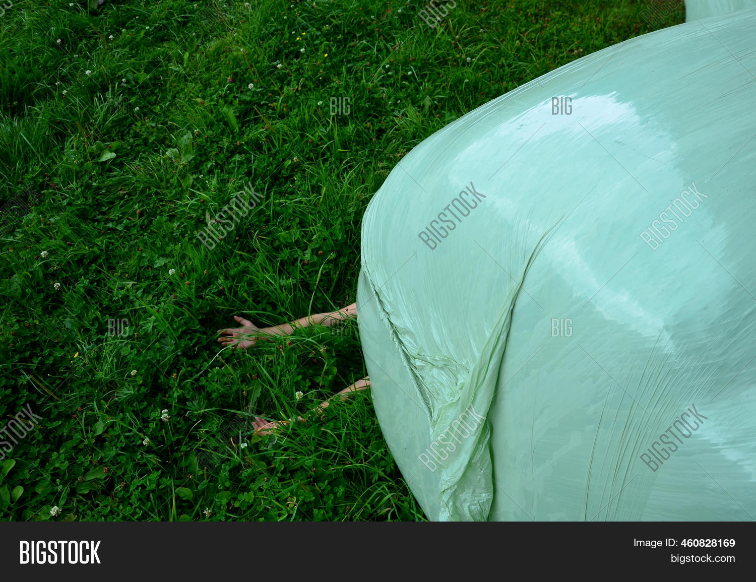 Bales Fermented Meadow Image & Photo (Free Trial) | Bigstock