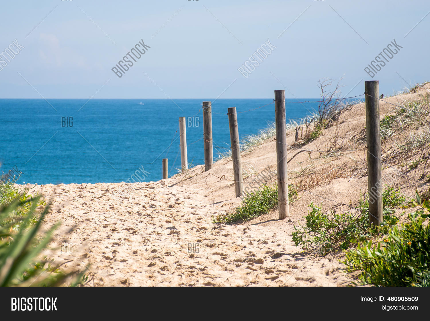 Sandy Pathway Ocean Image & Photo (Free Trial) | Bigstock