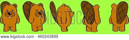 Chibi Beaver Cartoon Vector & Photo (Free Trial) | Bigstock