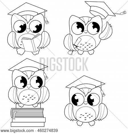 Set Cute Owls Vector & Photo (Free Trial) | Bigstock