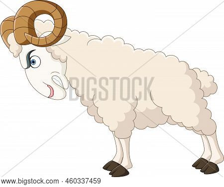 Vector Illustration Vector & Photo (Free Trial) | Bigstock