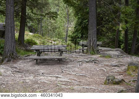 Picnic Area. Wooden Image & Photo (Free Trial) | Bigstock
