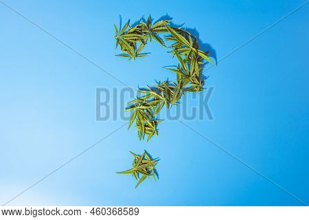 Question Mark Made Image & Photo (Free Trial) | Bigstock