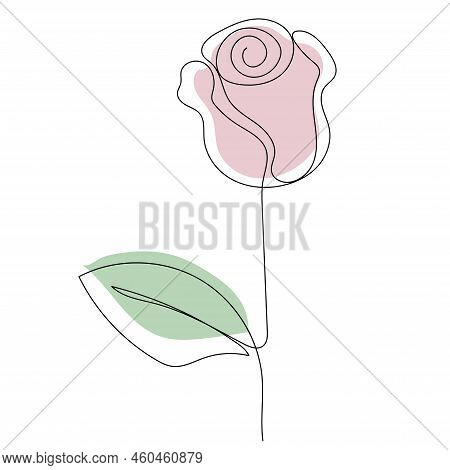 Rose Flower Line Art Vector & Photo (Free Trial) | Bigstock