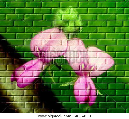 Flowers On Bricks Image & Photo (Free Trial) | Bigstock