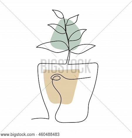 Plant Pot Line Art. Vector & Photo (Free Trial) | Bigstock