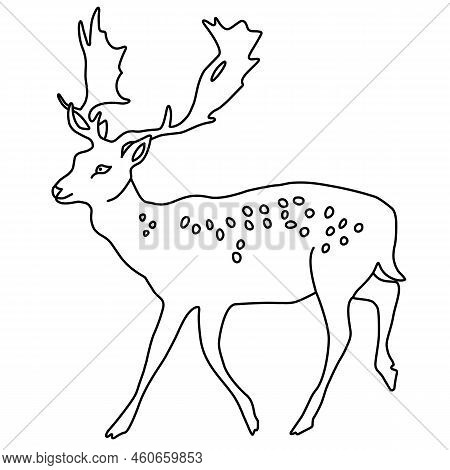 Deer Outline Vector & Photo (Free Trial) | Bigstock