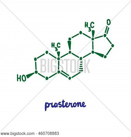 Prasterone Hand Drawn Vector & Photo (Free Trial) | Bigstock