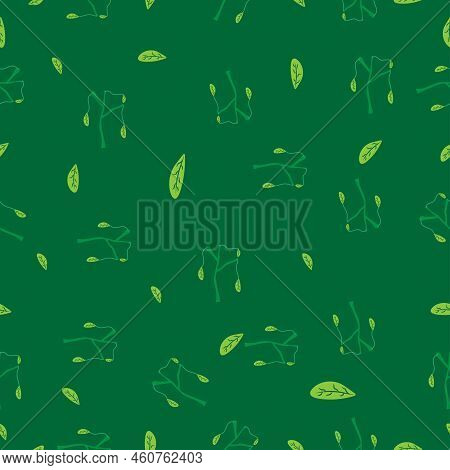 Random Simple Plant Image & Photo (Free Trial) | Bigstock