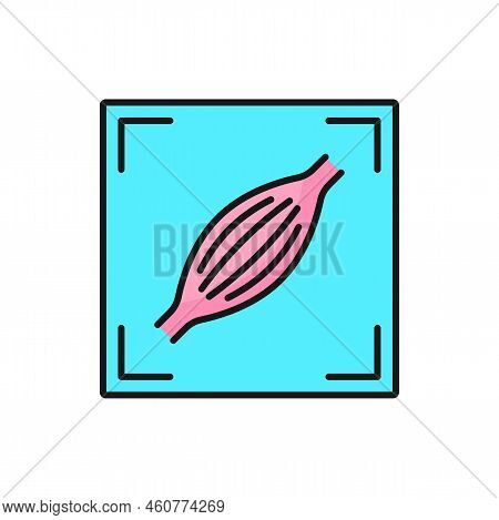 Mri Diagnostics, Vector & Photo (Free Trial) | Bigstock