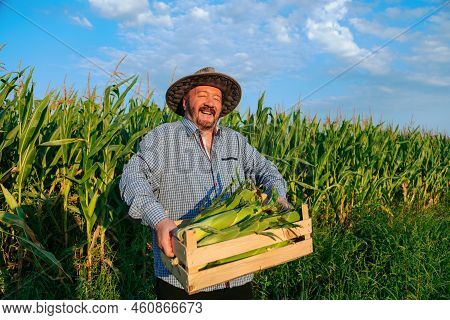 Front View Sly Smile Image & Photo (Free Trial) | Bigstock