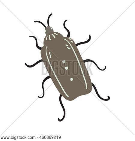 Bug Insect Naive Vector & Photo (Free Trial) | Bigstock