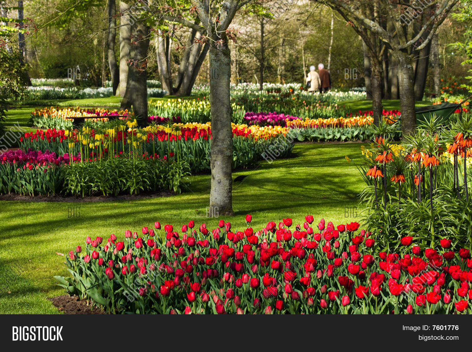 Colorful Park Spring Image & Photo (Free Trial) | Bigstock