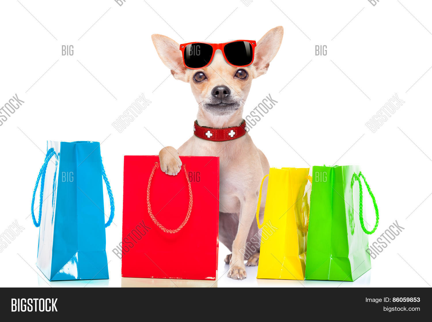 Shopping Dog Image & Photo (Free Trial) | Bigstock