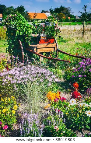 Wain Images, Illustrations & Vectors (Free) - Bigstock