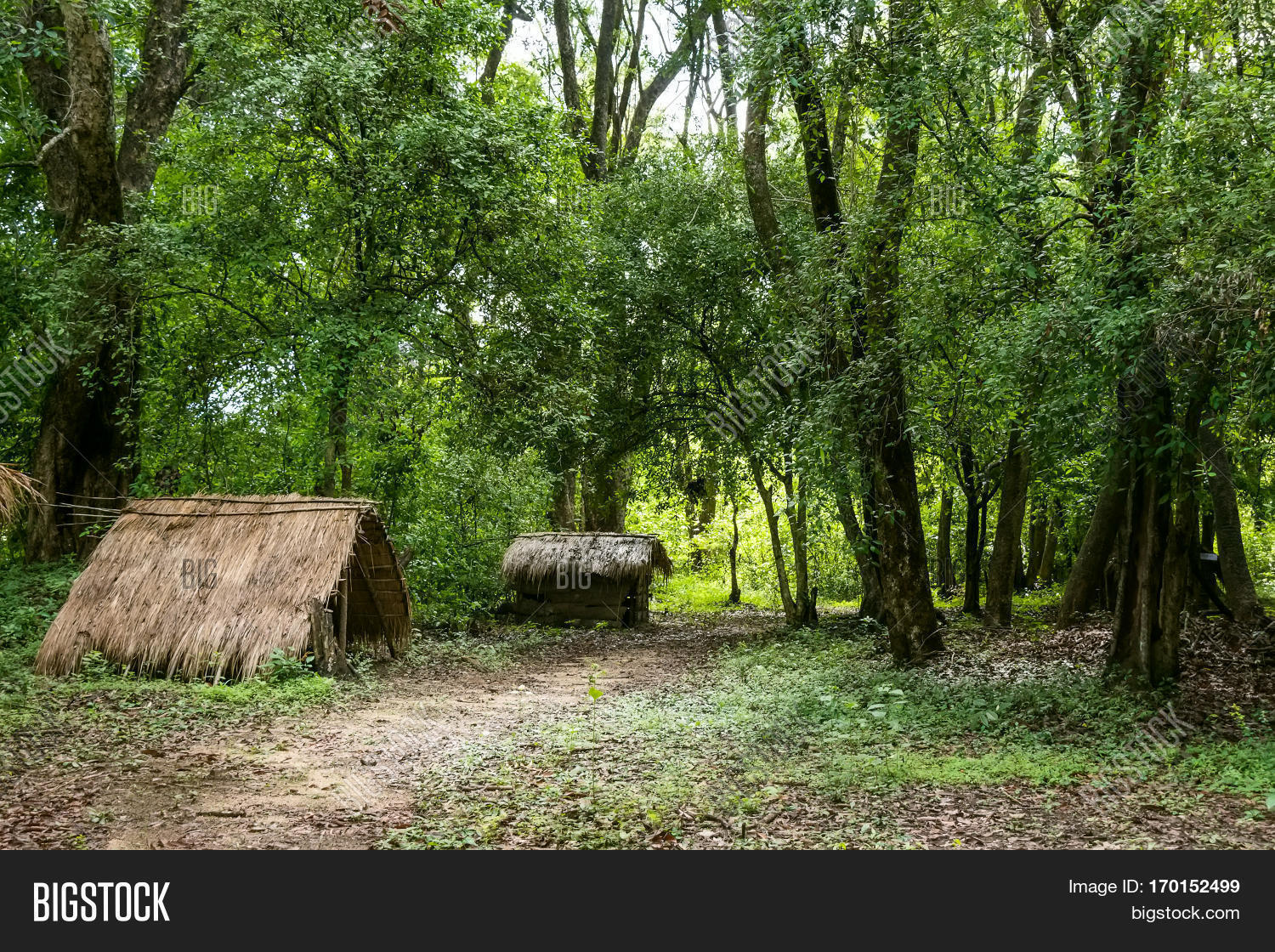 Typical House Vedda Image & Photo (Free Trial) | Bigstock