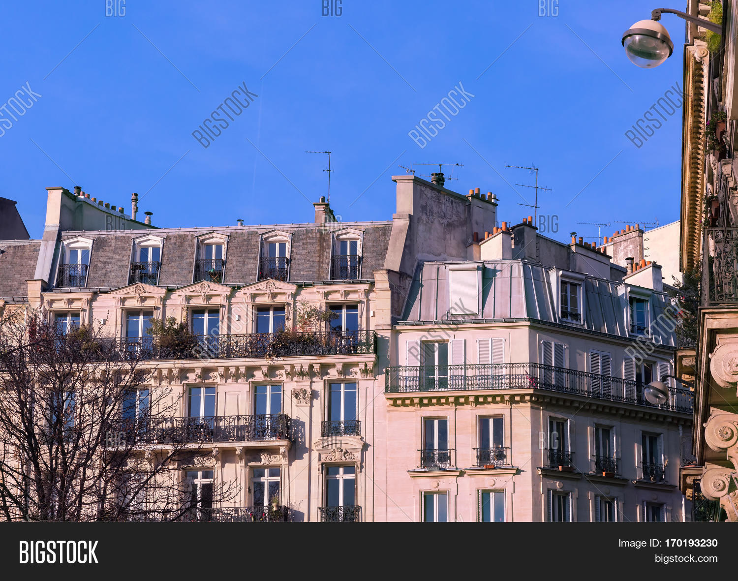 Imagen y foto Typical French (prueba gratis) | Bigstock