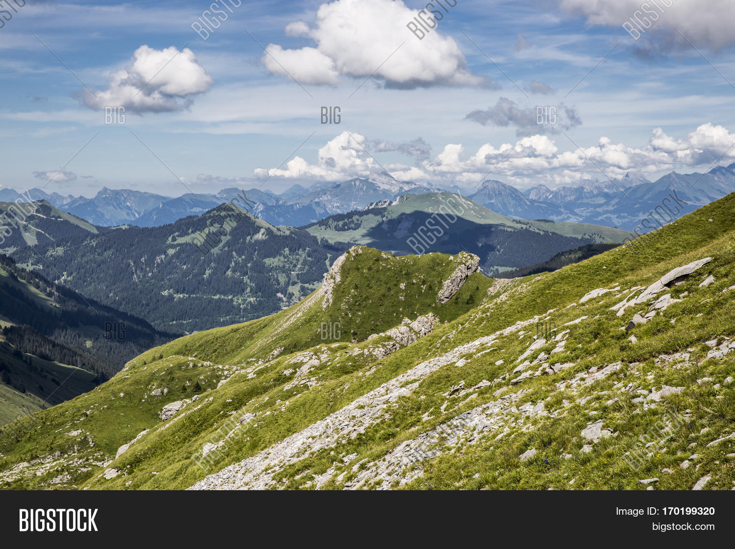 Bucolic Green Summer Image & Photo (Free Trial) | Bigstock