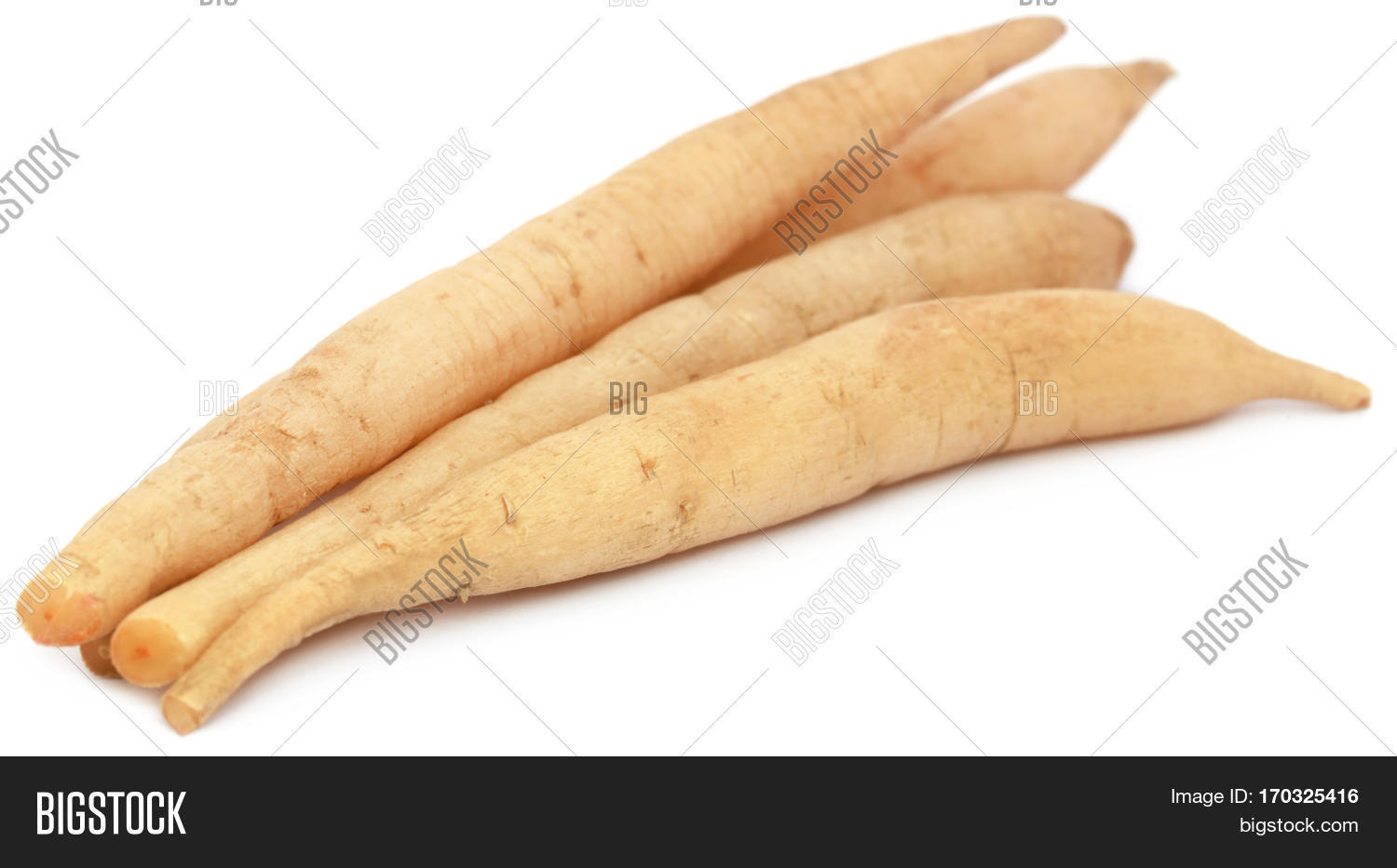 Asparagus Racemosus Image & Photo (Free Trial) | Bigstock