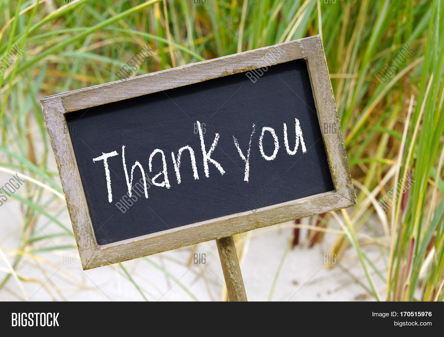 Thank You - Chalkboard Image & Photo (Free Trial) | Bigstock