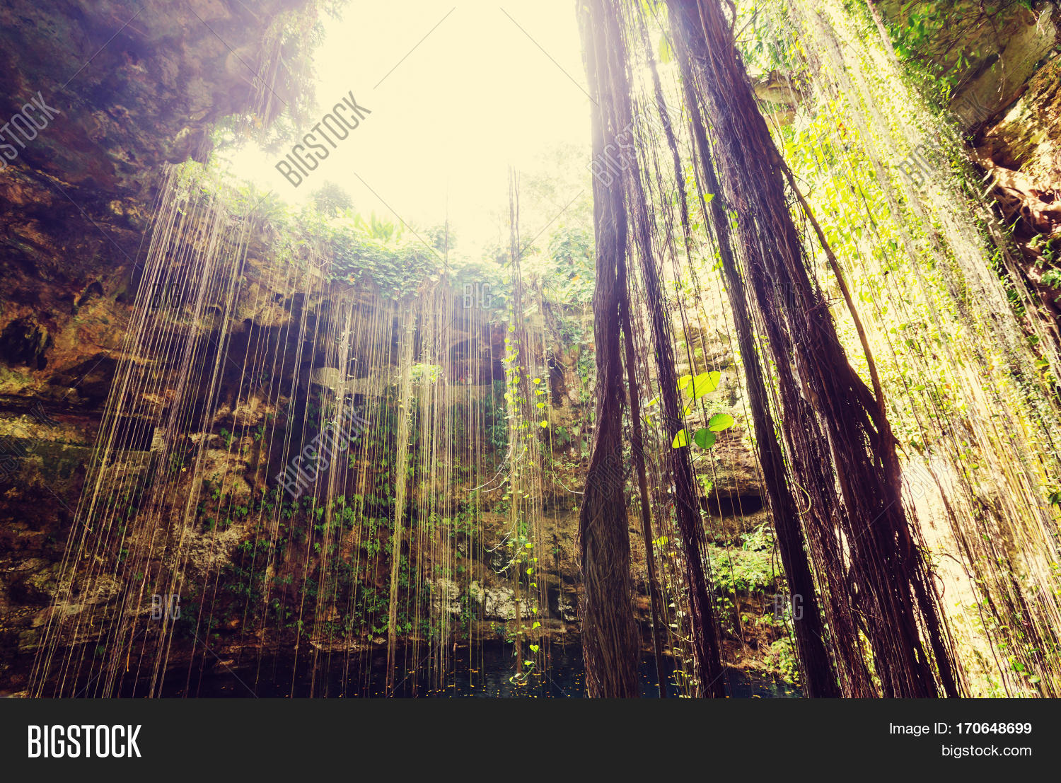 Ik-Kil Cenote, Mexico Image & Photo (Free Trial) | Bigstock