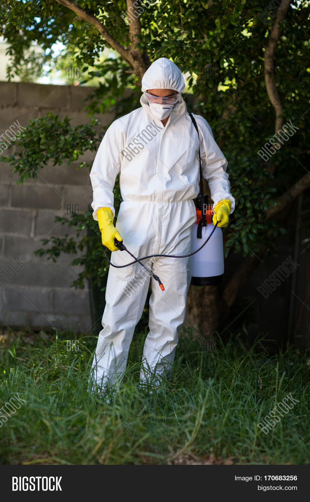 Man Spraying Pesticide Image & Photo (Free Trial) | Bigstock