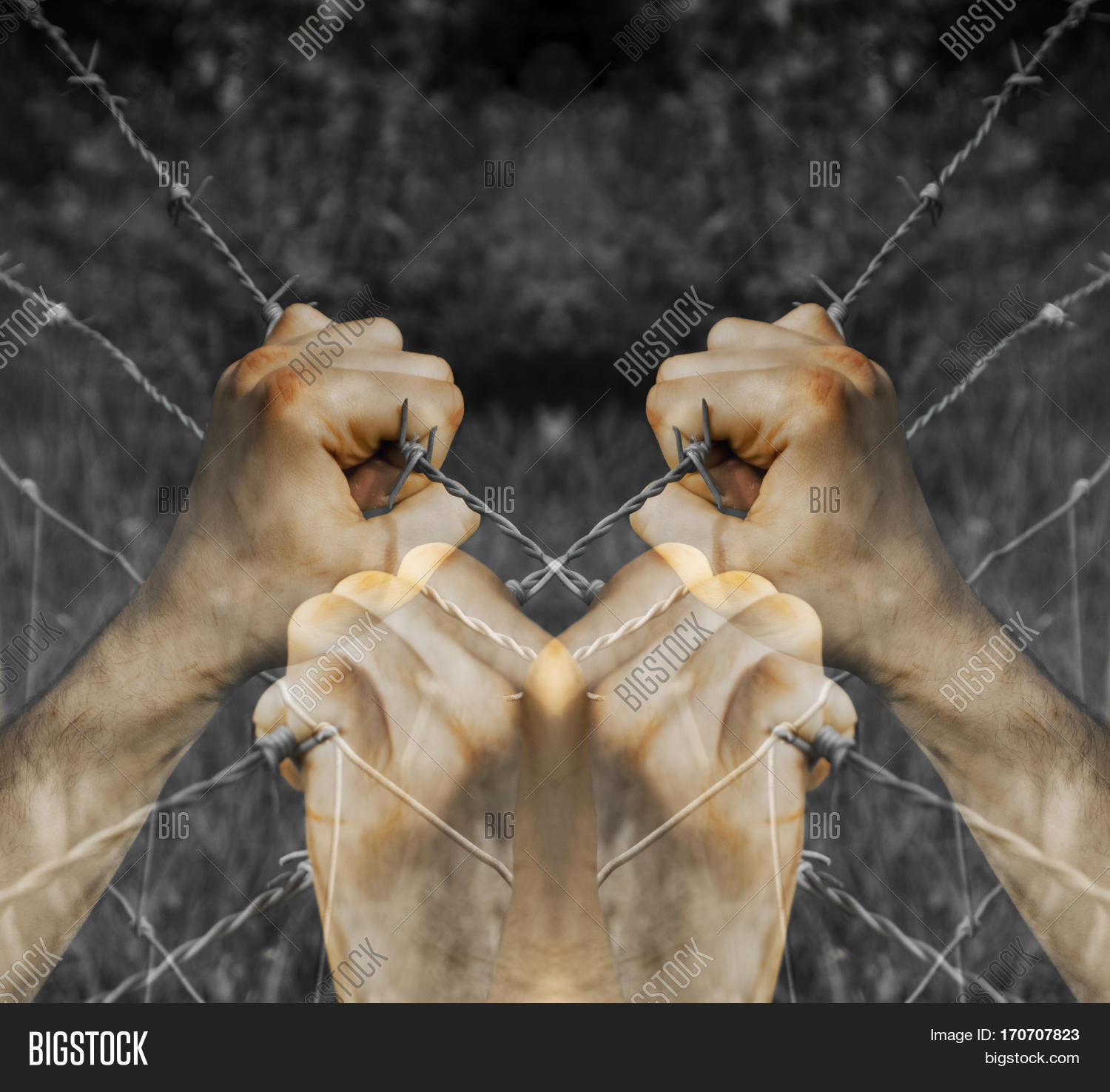 Lots Coloured Tortured Image & Photo (Free Trial) | Bigstock