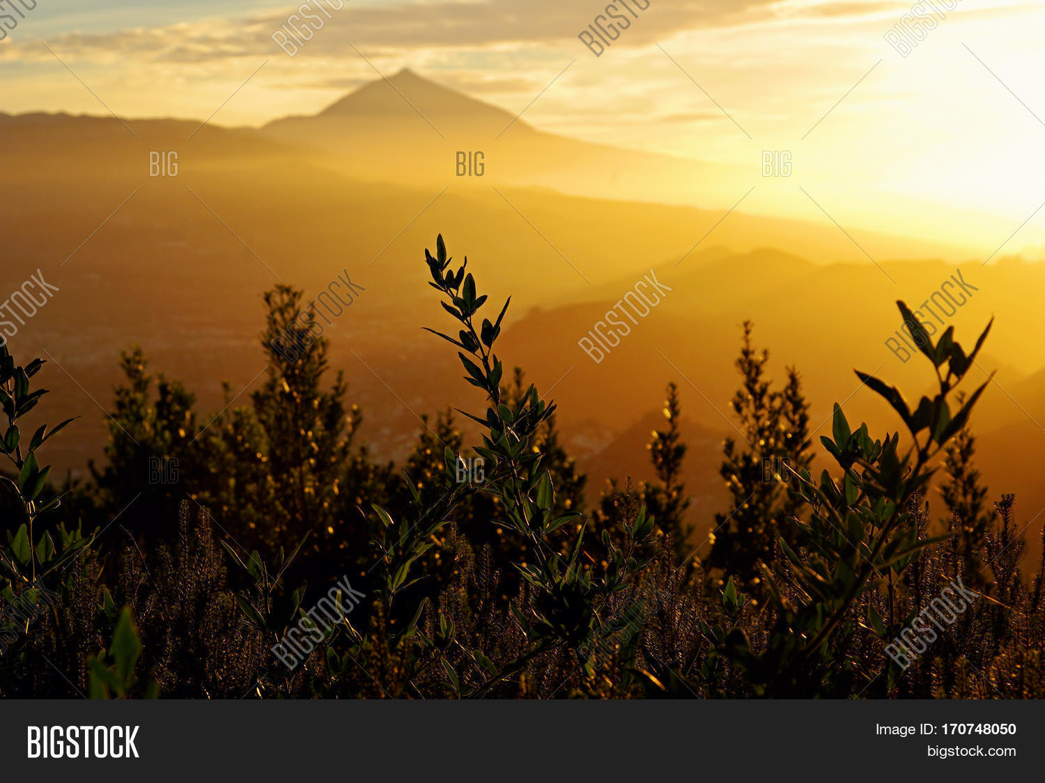 View On Mount Teide " Image & Photo (Free Trial) | Bigstock