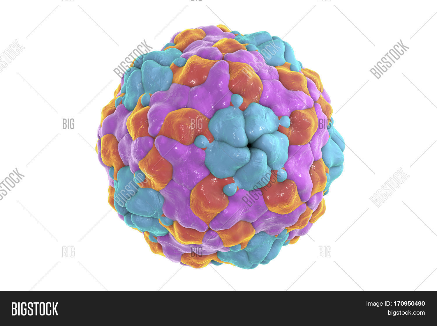 Human Parechovirus On Image & Photo (Free Trial) | Bigstock